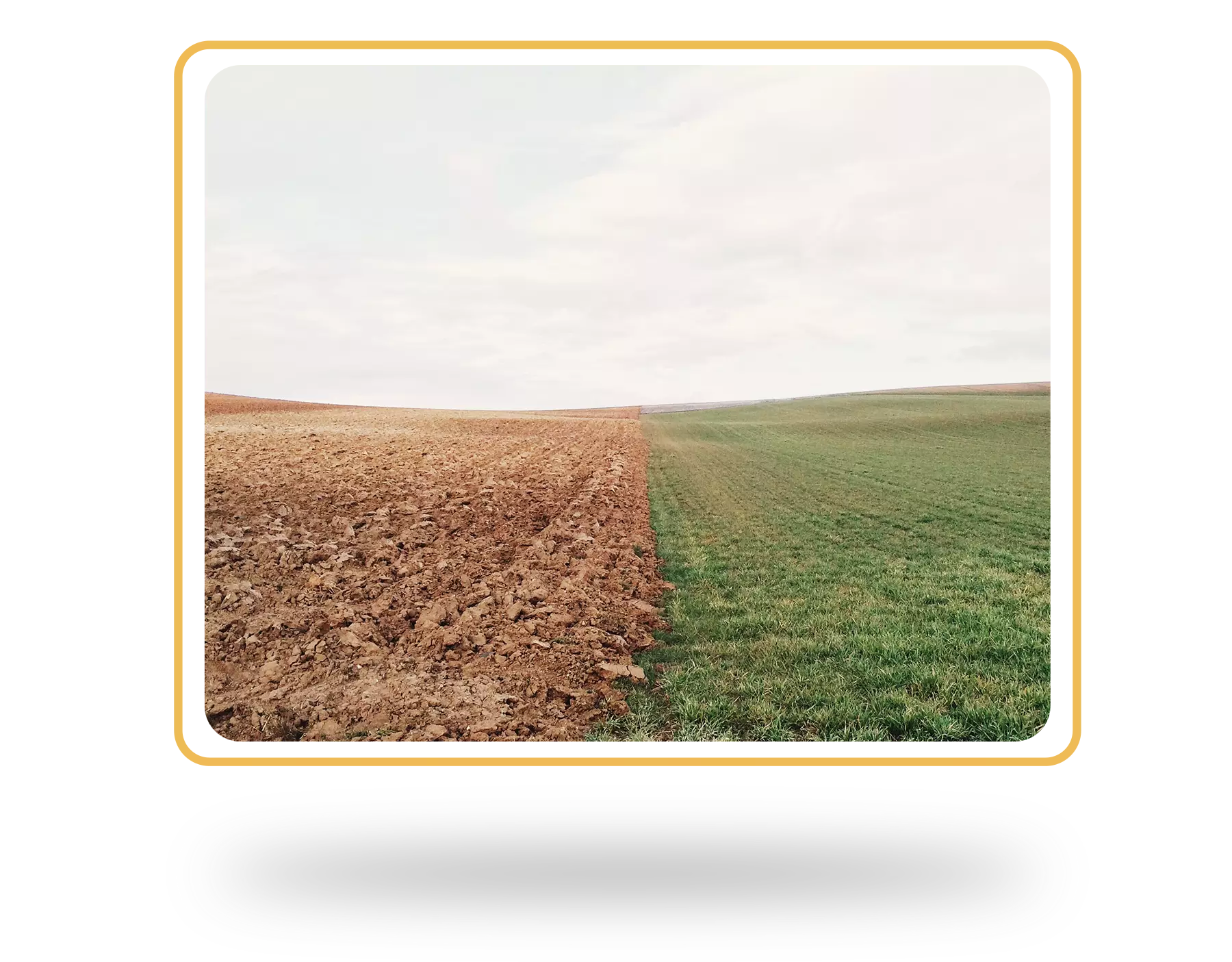 BeCrop Trials | Biome Makers